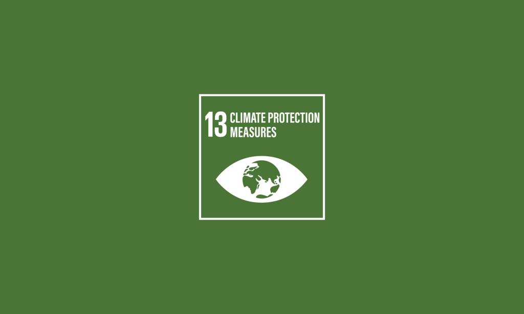 SDG 13 Limiting and adapting to climate change - Hesse Lignal